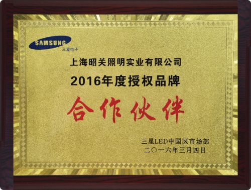 LED lighting leading brand in Shanghai - About WELLMAX