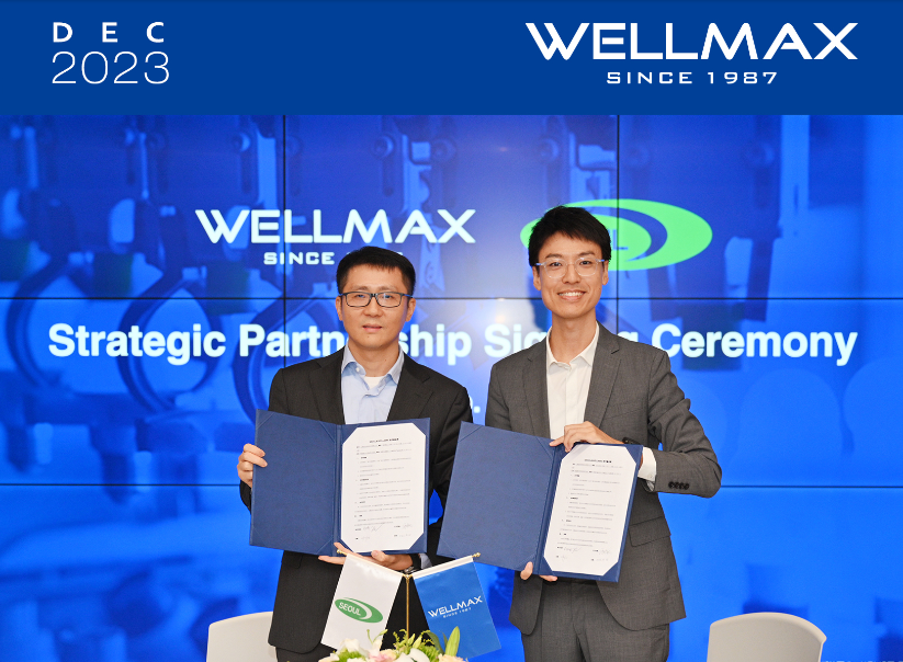 WELLMAX Q4 Newsletter: New global strategy partner! - Wellmax