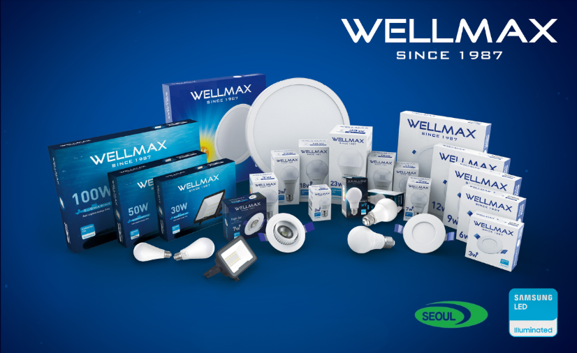 What's new? Explore WELLMAX's 2023 New Products! - Wellmax