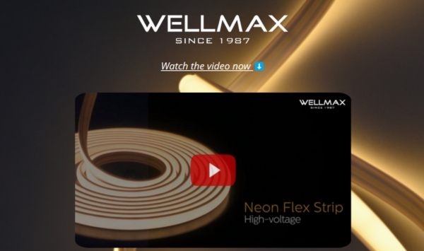 Explore the Dynamic Neon Flex Strip Linear Series - Wellmax