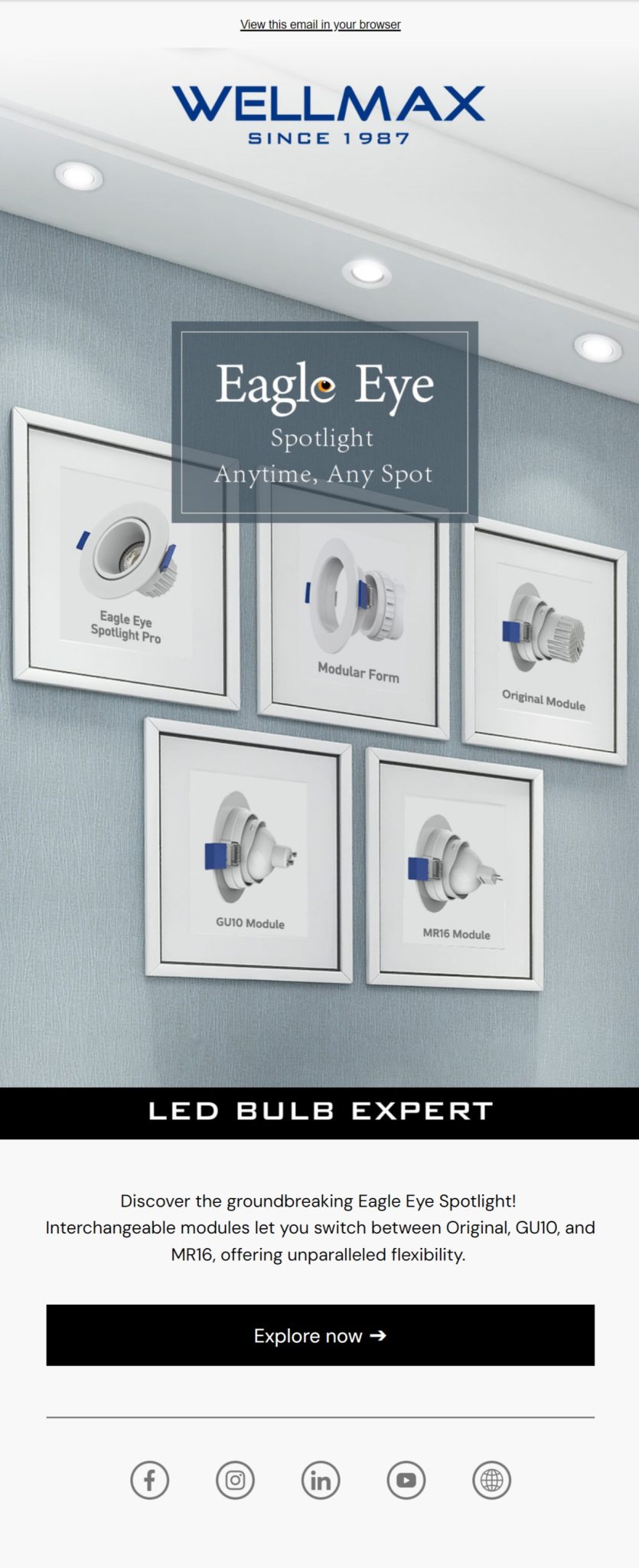 Eagle Eye Spotlight: Change Modules Easily!🦅 - Wellmax