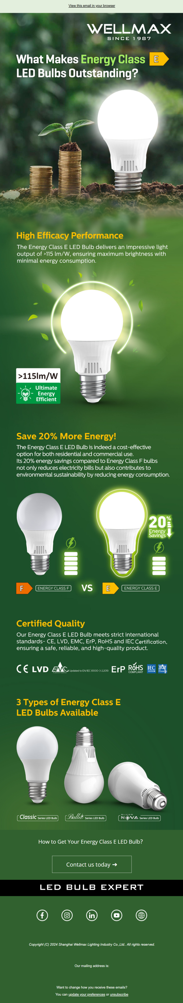 What Makes Energy Class E LED Bulbs Outstanding? - Wellmax