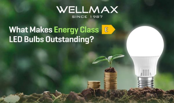 What Makes Energy Class E LED Bulbs Outstanding? - Wellmax