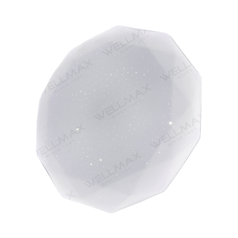 LED lighting leading brand in Shanghai - About WELLMAX