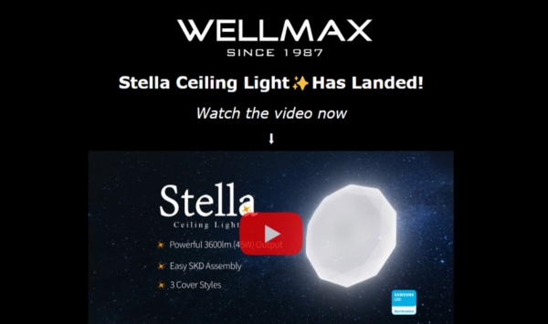 📹Watch the Video Now for Stella Ceiling Light's Exclusive Features ...