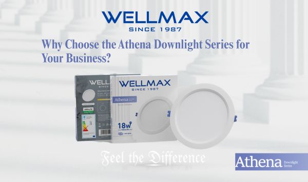 Why Choose Athena Downlight Series for Your Business? - Wellmax